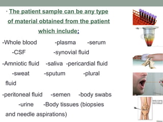 Lecture 1 .introduction , course over view MLS level 7 | PPT