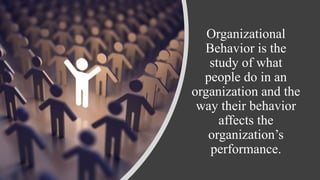 Introduction to Organizational Behavior | PPT