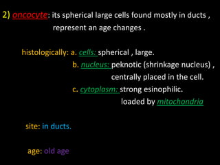 Lecture 1 salivary glands | PPTX