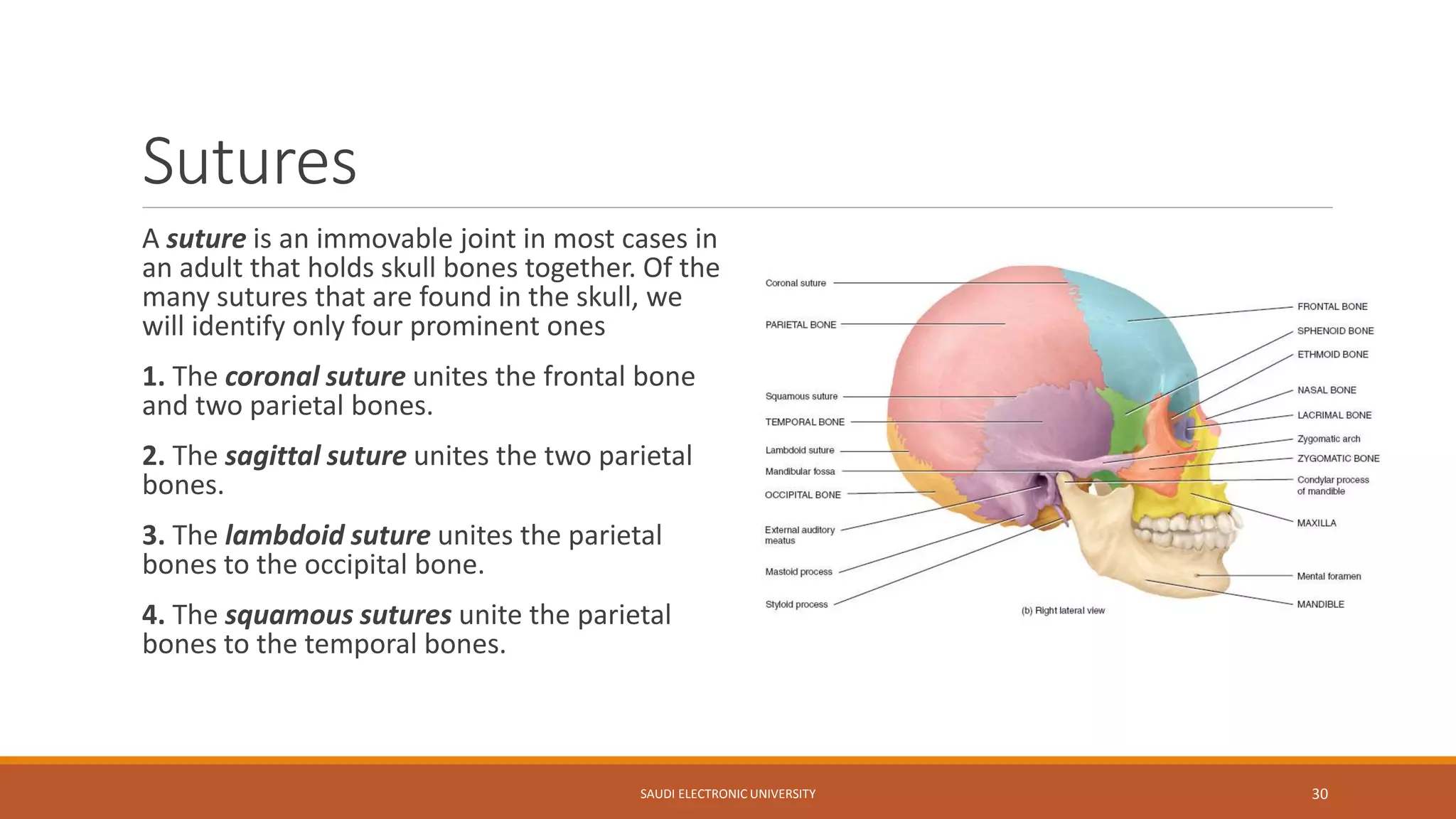 Lecture 1 | PPTX