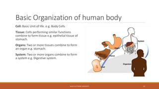 Lecture 1 | PPTX