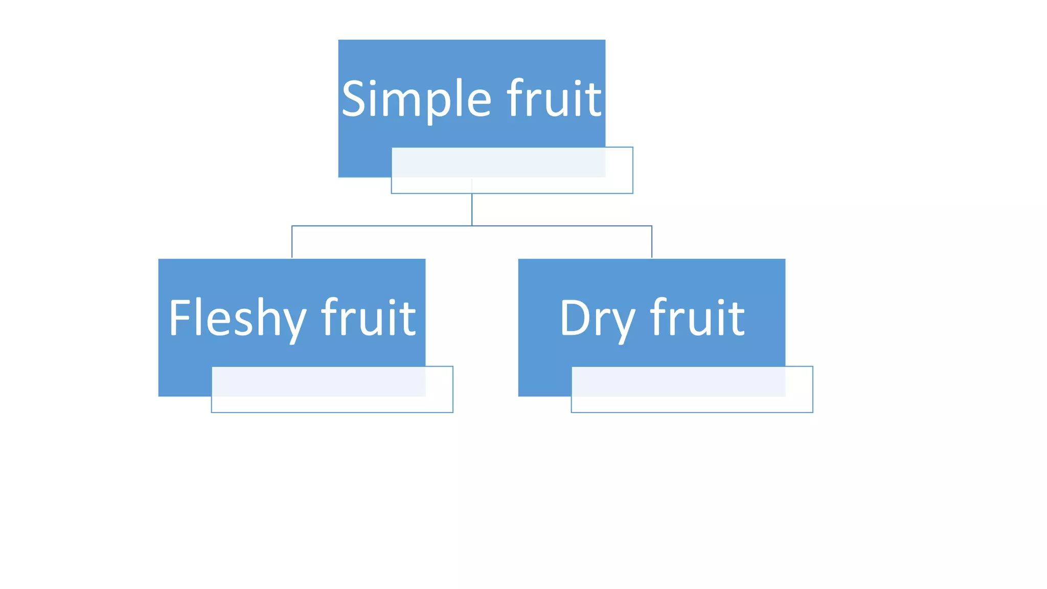 Classification of Fruits | PPTX