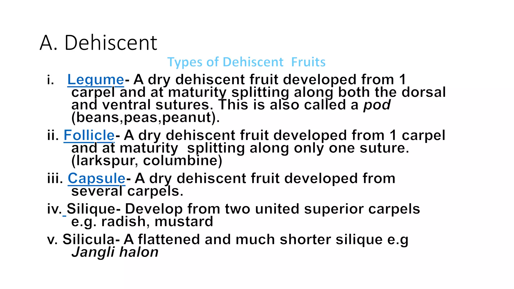 Classification of Fruits | PPTX