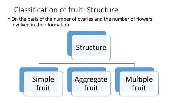 Classification of Fruits