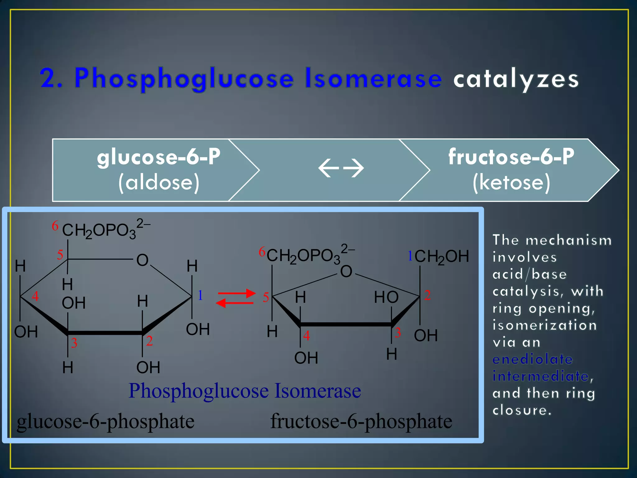 Lecture1.glycolysis | PDF