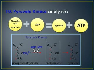 Lecture1.glycolysis | PPT