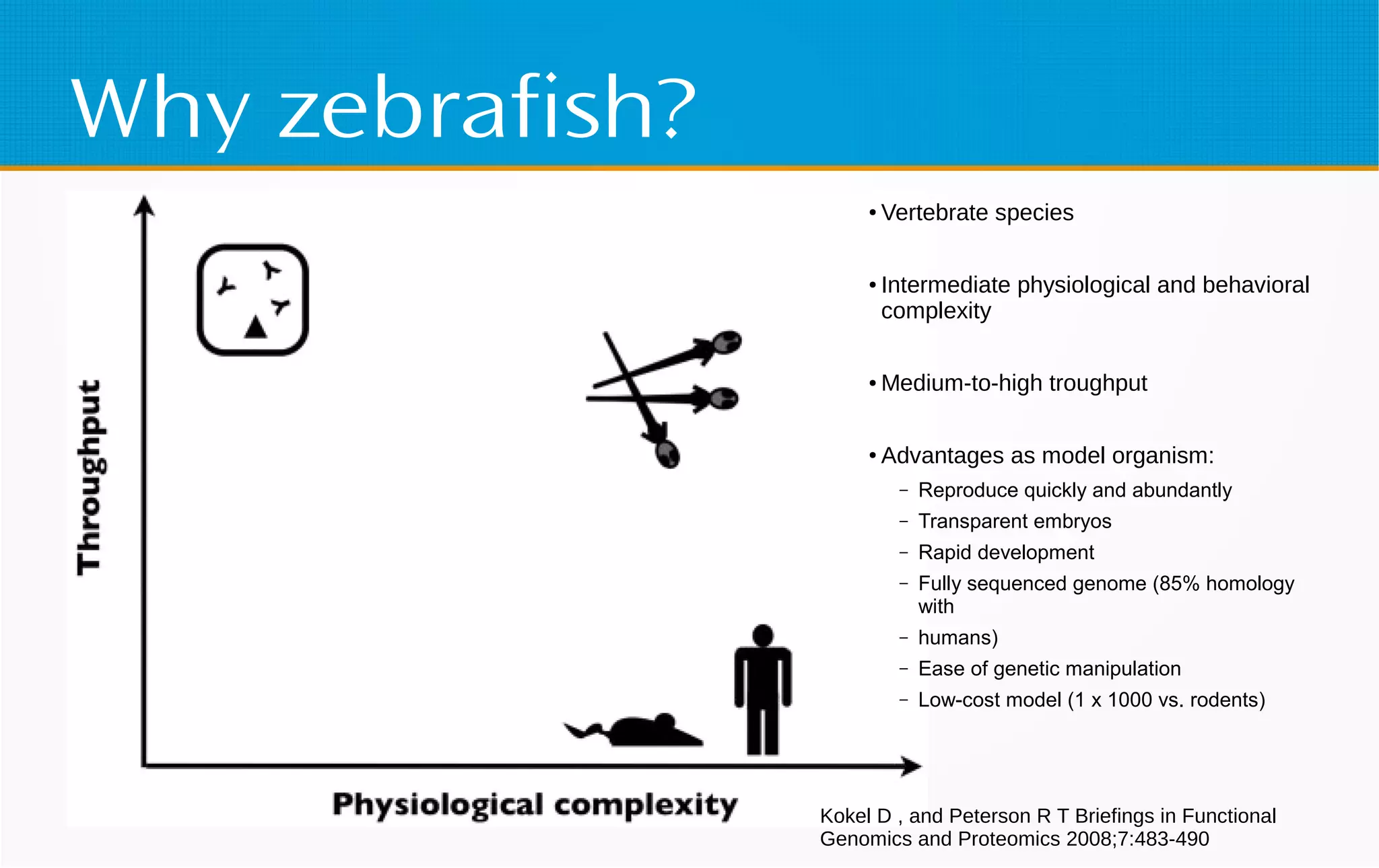 Workshop on Behavioral models in zebrafish | PPT