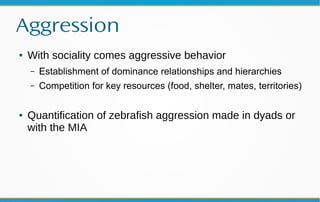 Workshop on Behavioral models in zebrafish | PPT