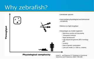 Workshop on Behavioral models in zebrafish | PPT