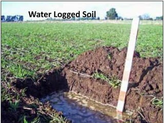 Soil Conservation | PPTX
