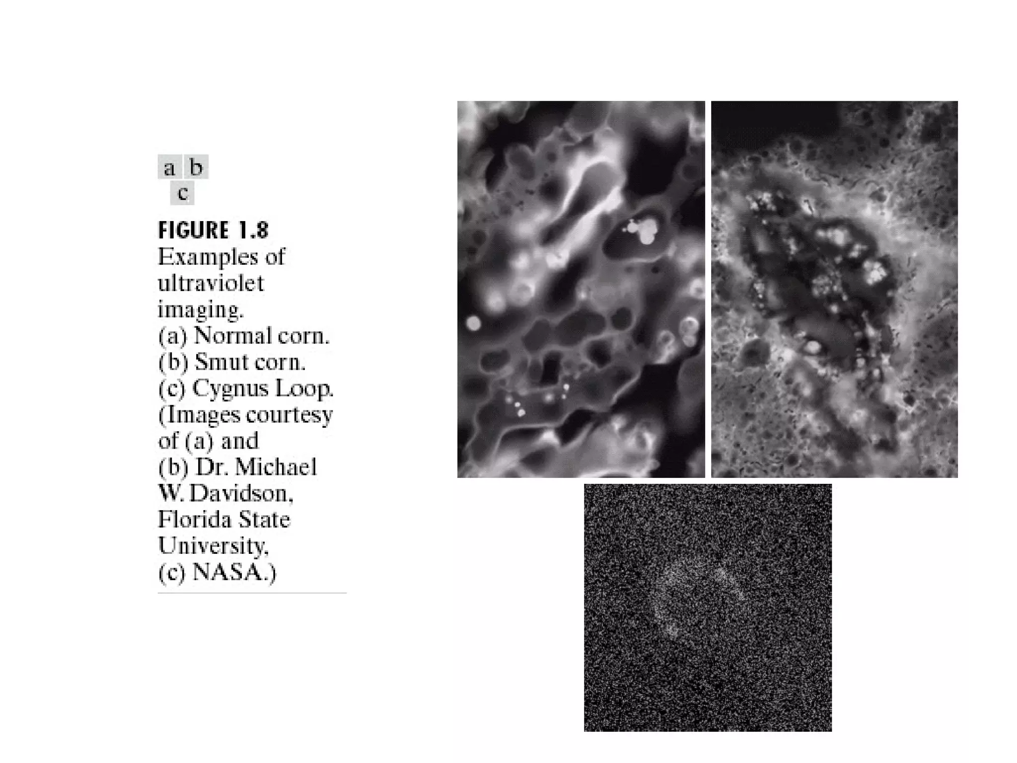 Introduction to image processing | PPT