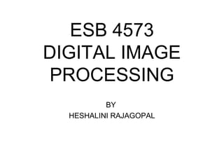 Introduction to image processing | PPT
