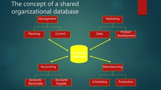 introduction of Database