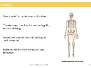 Lecture 1 Structure Systems Basics | PDF