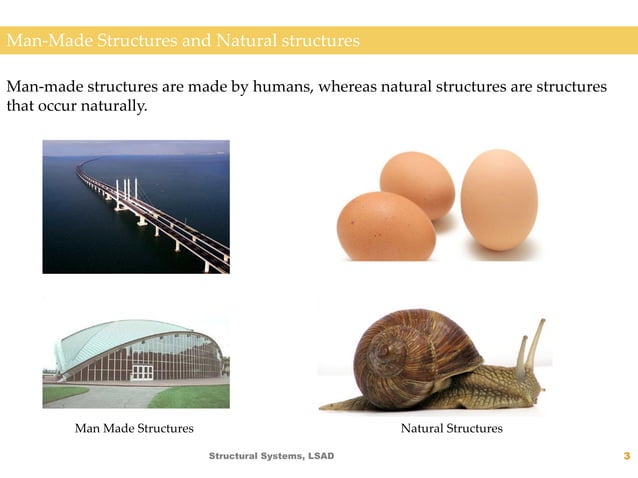 Lecture 1 Structure Systems Basics | PDF