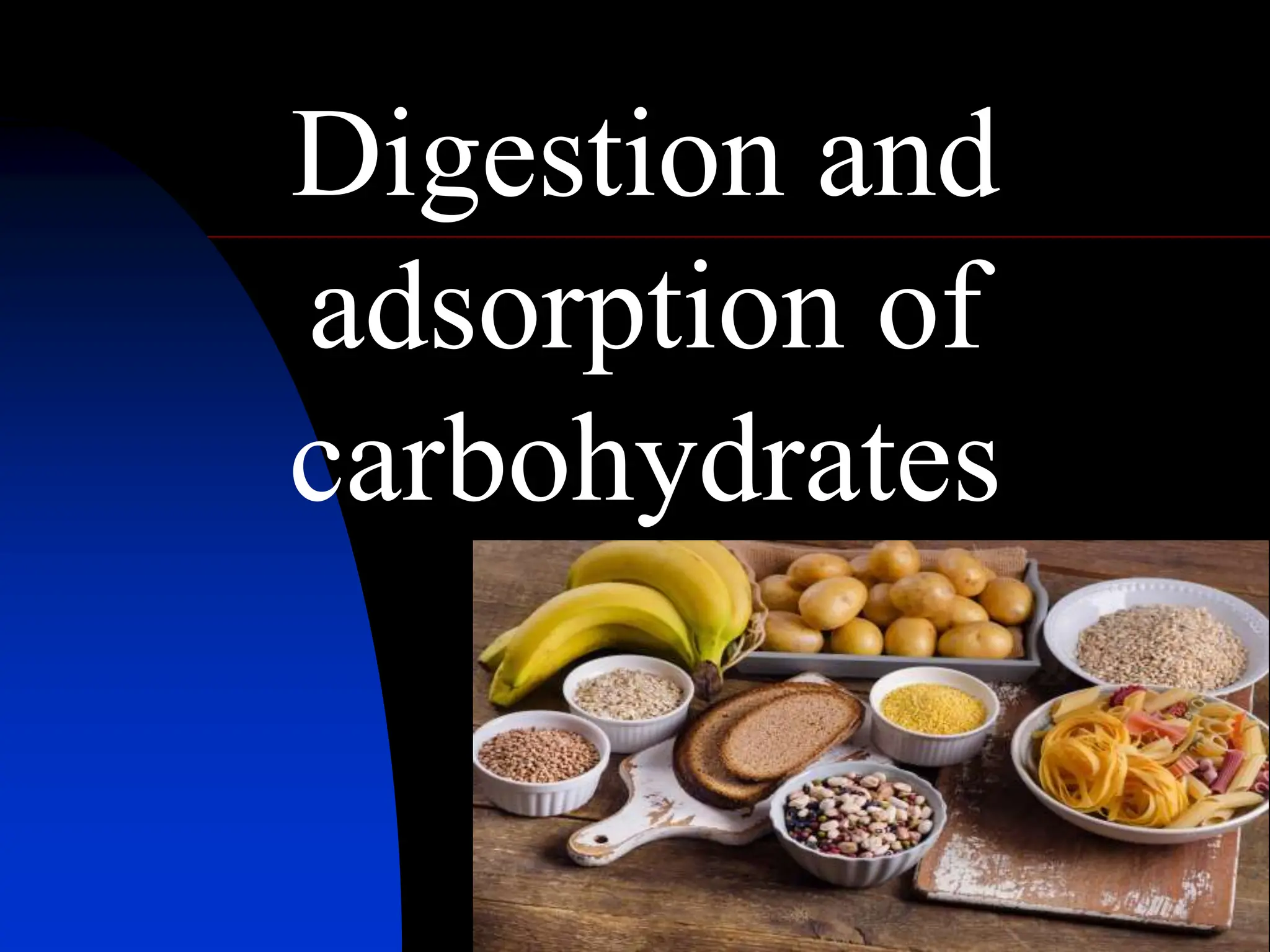 Carbohydrate Metabolism