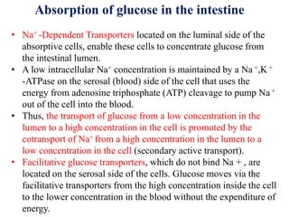 Lecture_1-1_Carbohydrates.dsgdgdgdgdfgdfg | PPTX