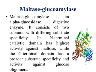Lecture_1-1_Carbohydrates.dsgdgdgdgdfgdfg | PPT
