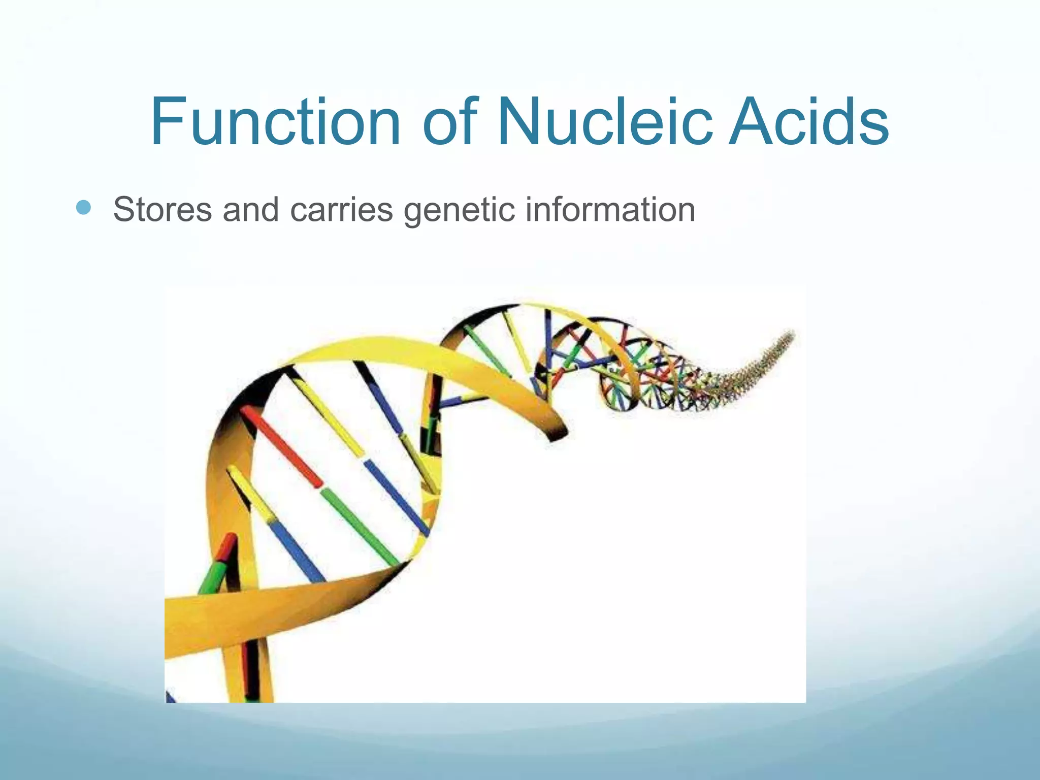 Macromolecules | PPT