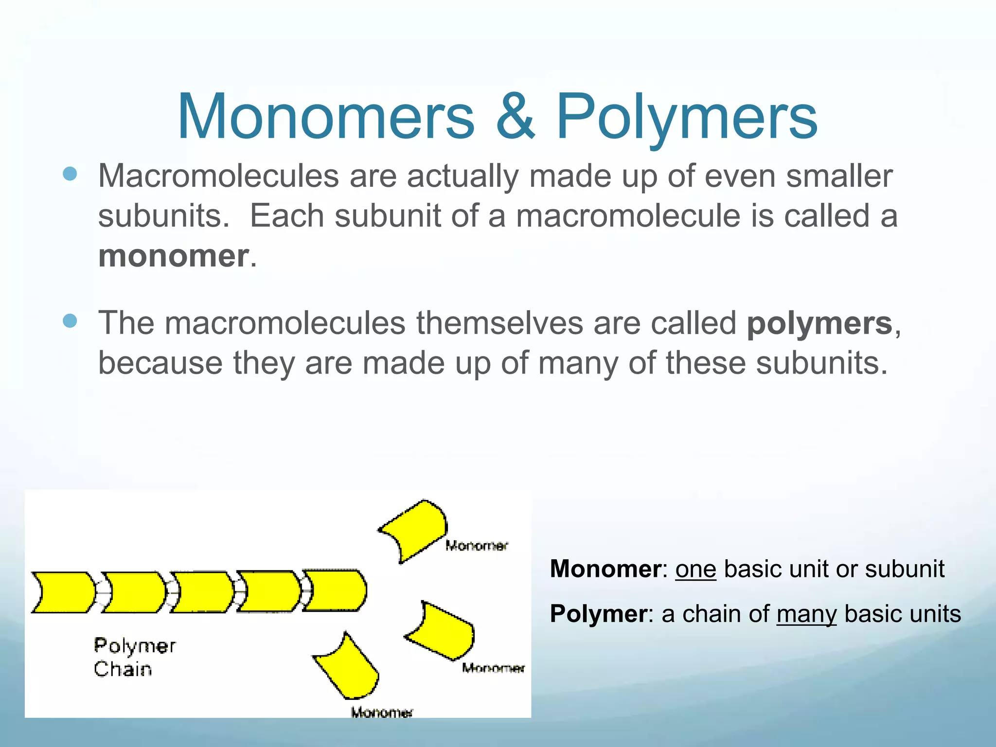 Macromolecules | PPTX