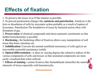 Lecture 1.introduction to histopathology ii | PPTX