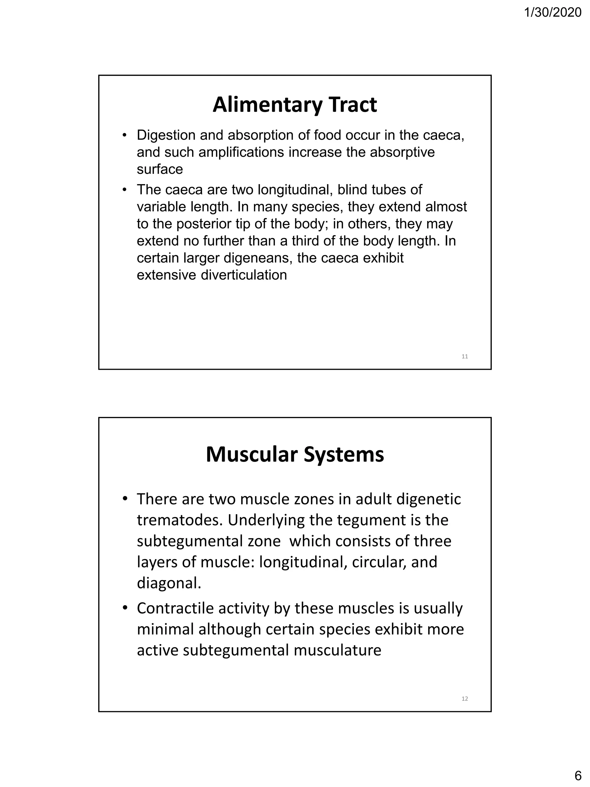 trematodes and helminthology | PDF