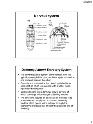 trematodes and helminthology | PDF