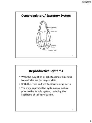 trematodes and helminthology | PDF