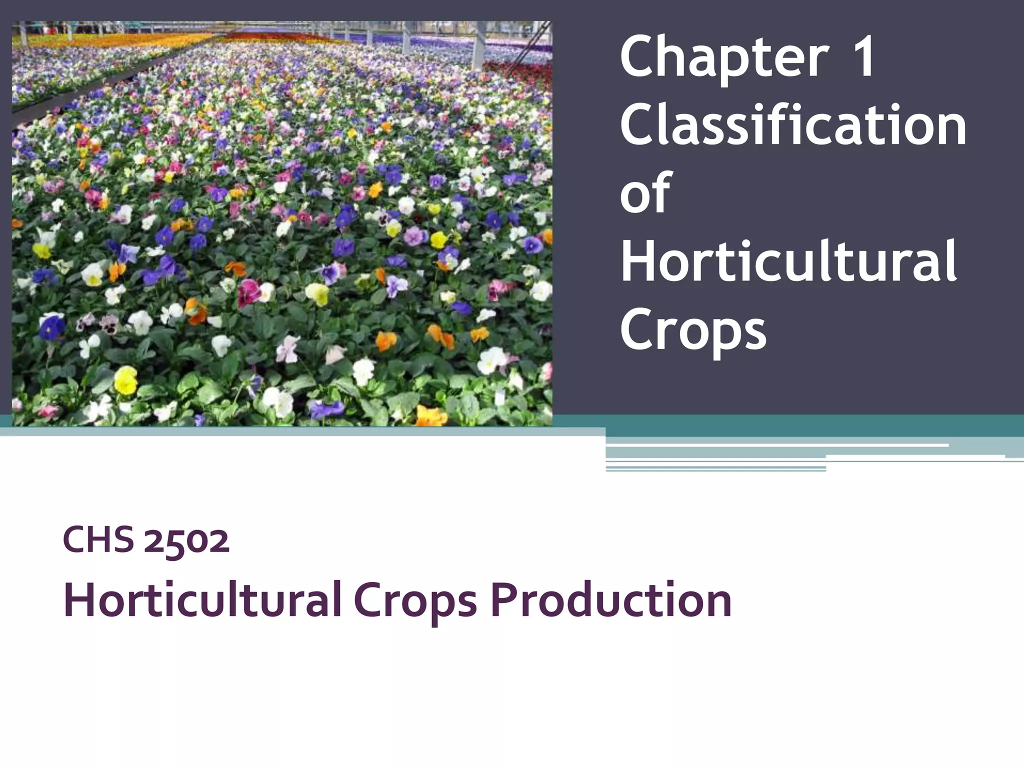HORTICULTURAL CROPS | PPTX