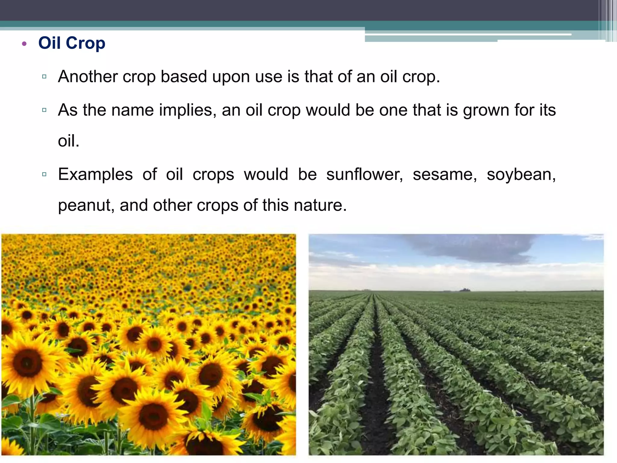 HORTICULTURAL CROPS | PPTX