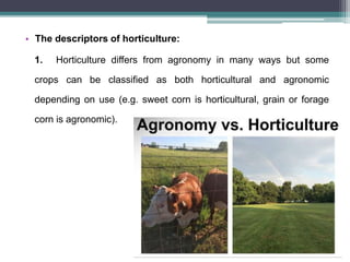 HORTICULTURAL CROPS | PPTX