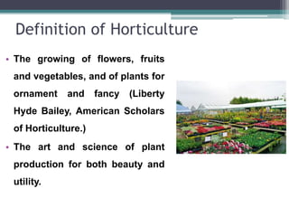 HORTICULTURAL CROPS | PPT