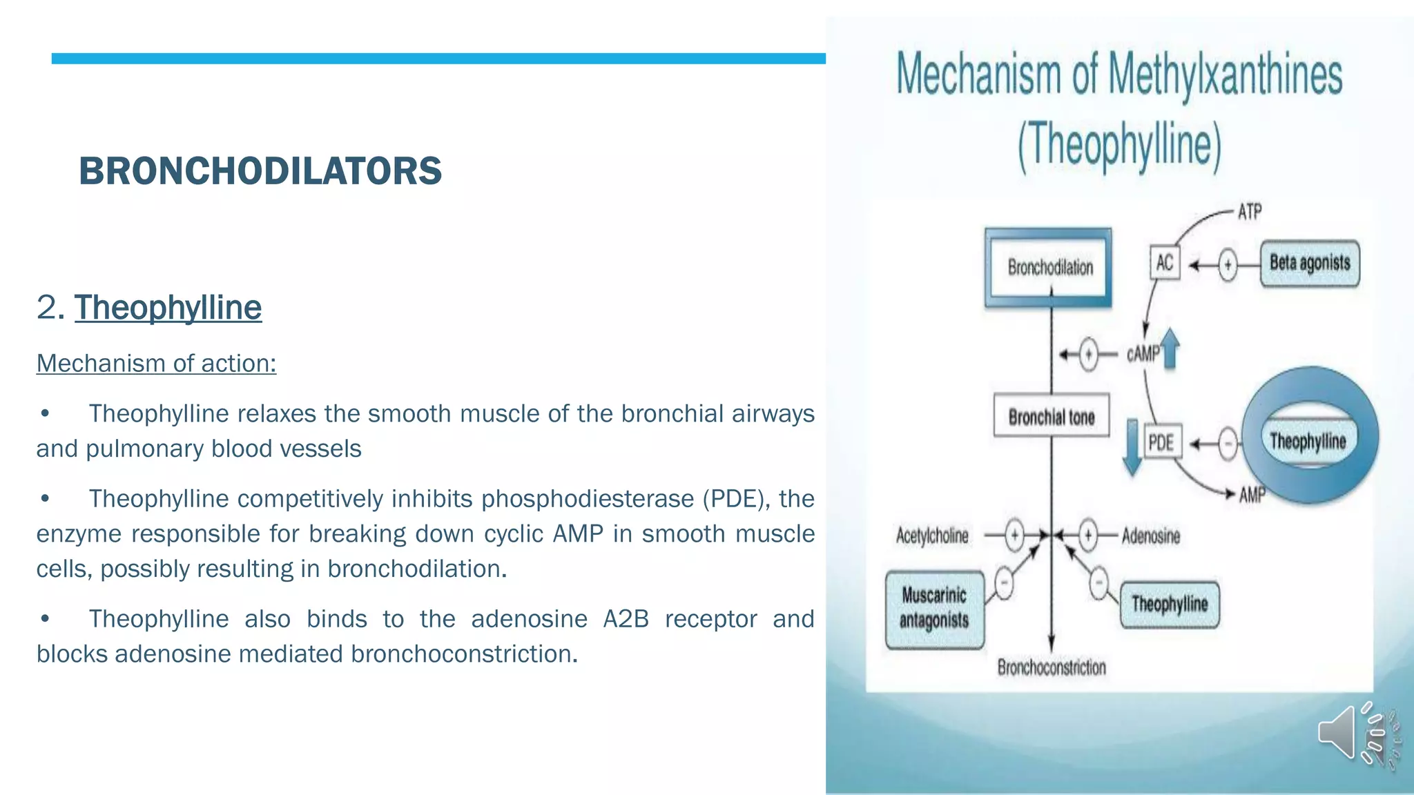 Phytotherapy (Respiratory tract disorders) | PDF