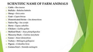 Animal Science Terminologies.pptx