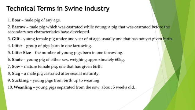 Animal Science Terminologies.pptx | Birds | Pets