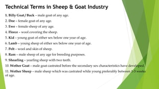 Animal Science Terminologies.pptx | Birds | Pets