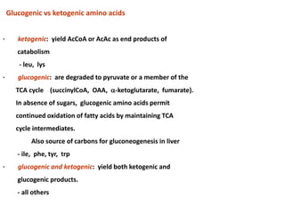 Amino Acid Metabolism.pptx