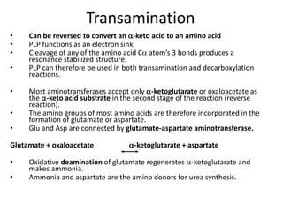 Amino Acid Metabolism.pptx | Free Download