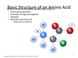 Amino Acid Metabolism.pptx
