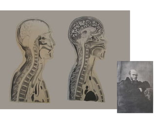 Lecture 1.Introduction in anatomy.ppt