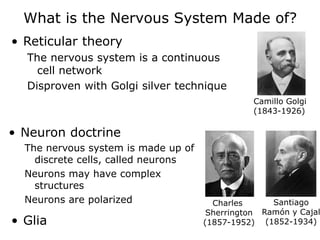 Neuro.ppt