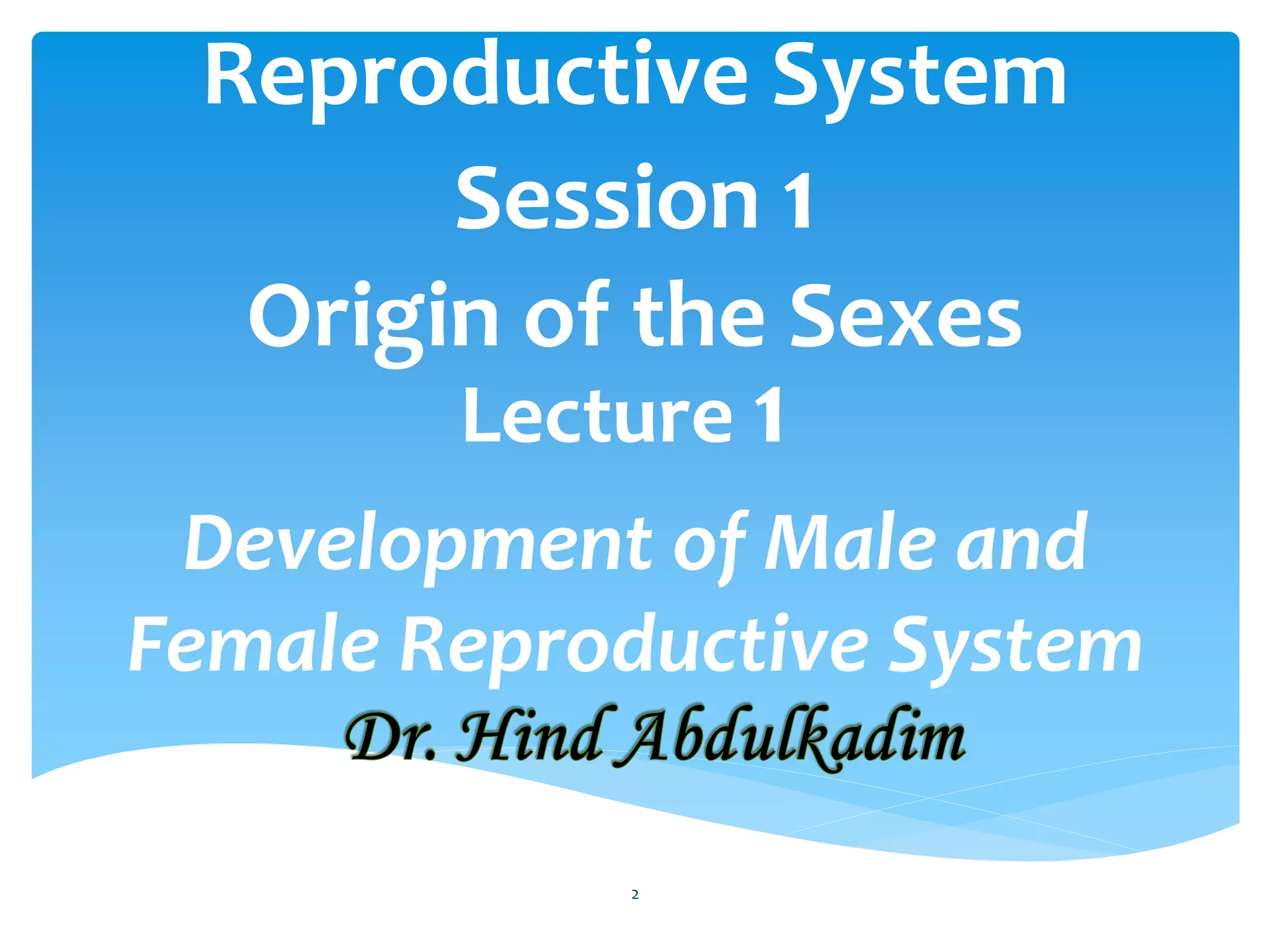 Reproductive system development | PPT