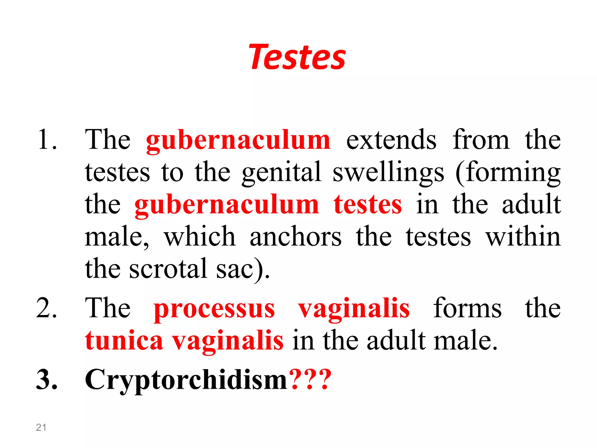 Reproductive system development | PDF