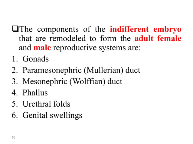 Reproductive system development | PPT