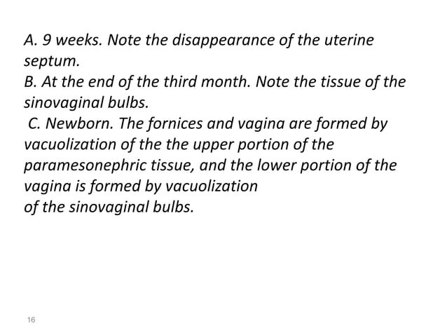 Reproductive system development | PPT