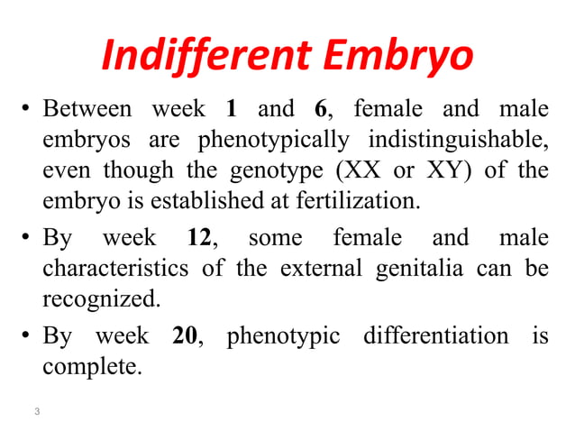 Reproductive system development | PPT