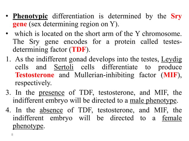 Reproductive system development | PPT
