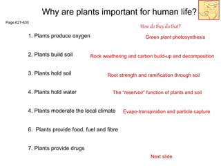 Lecture_1.ppt