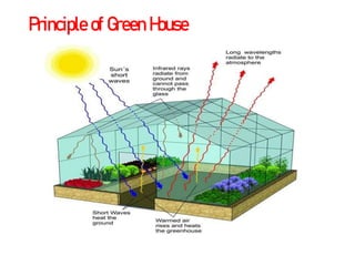 lecture 1. Greenhoose Technology.pptx
