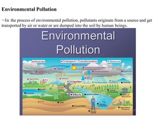Environmental Chemistry.pdf